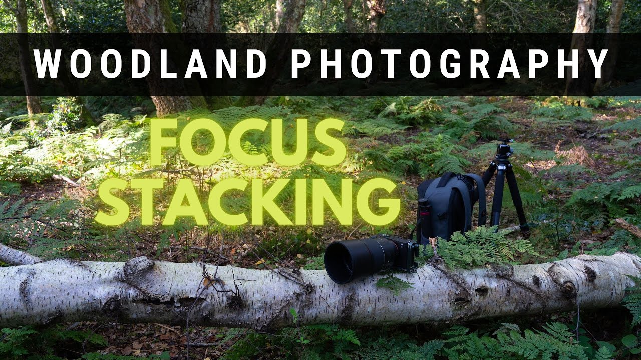 WOODLAND MACRO Photography - FOCUS BRACKETING With The SONY A7C II ...