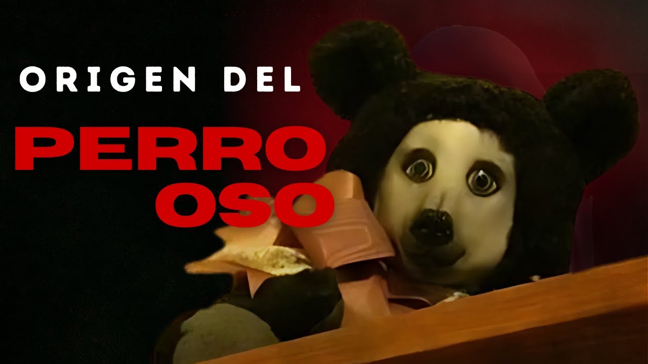 EL MISTERIOSO PERRO OSO Y SU ORIGEN 😥😦😲 - YouTube