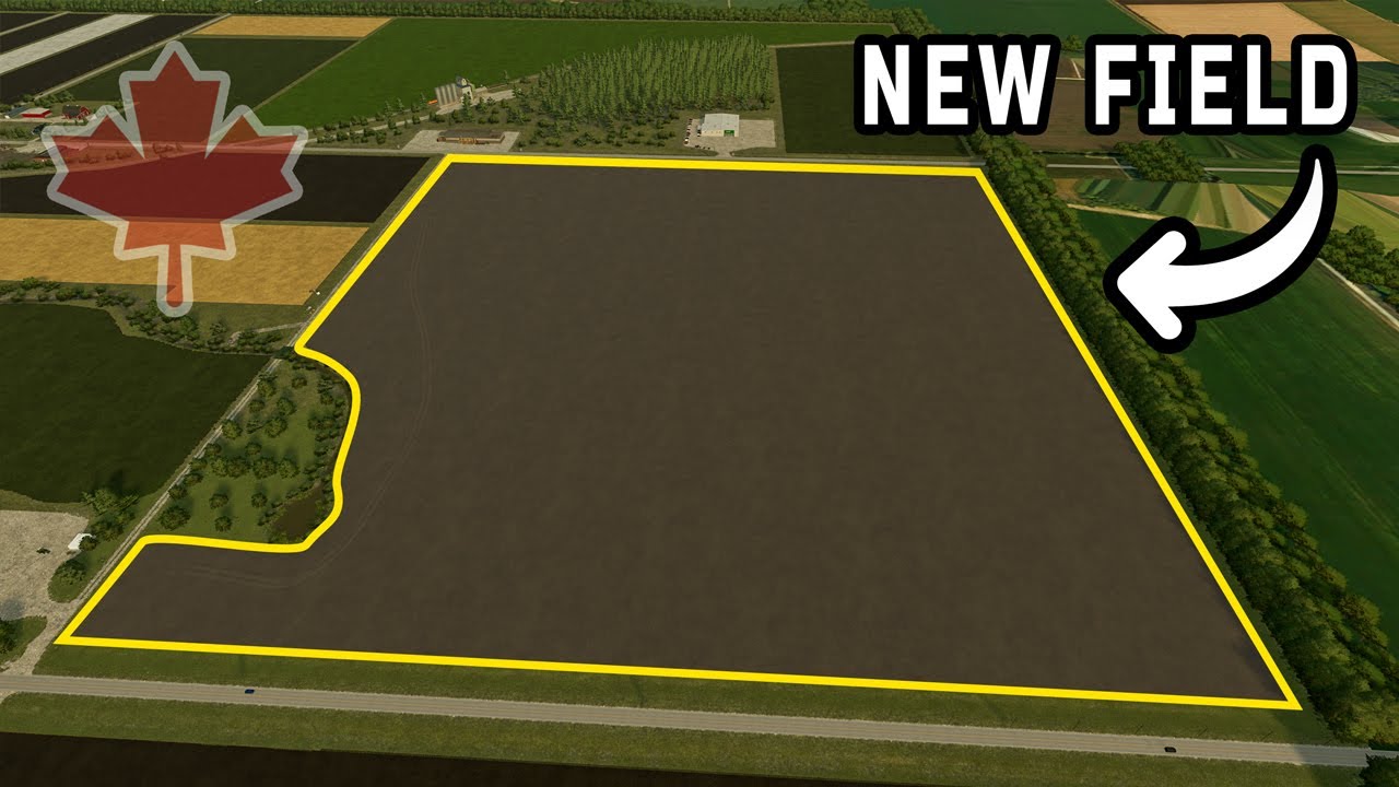 I Created A GIANT Canola Field in Wymark Multiplayer! - YouTube