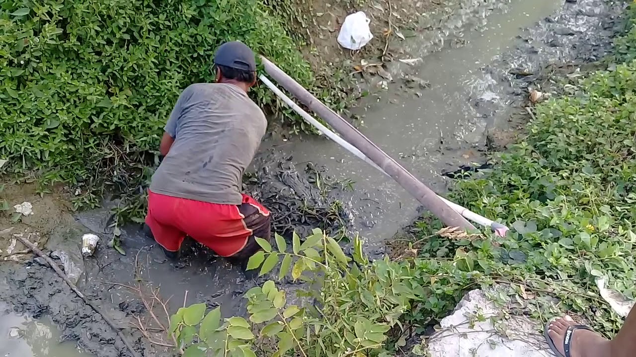 Tangkap ikan cara traditional - YouTube