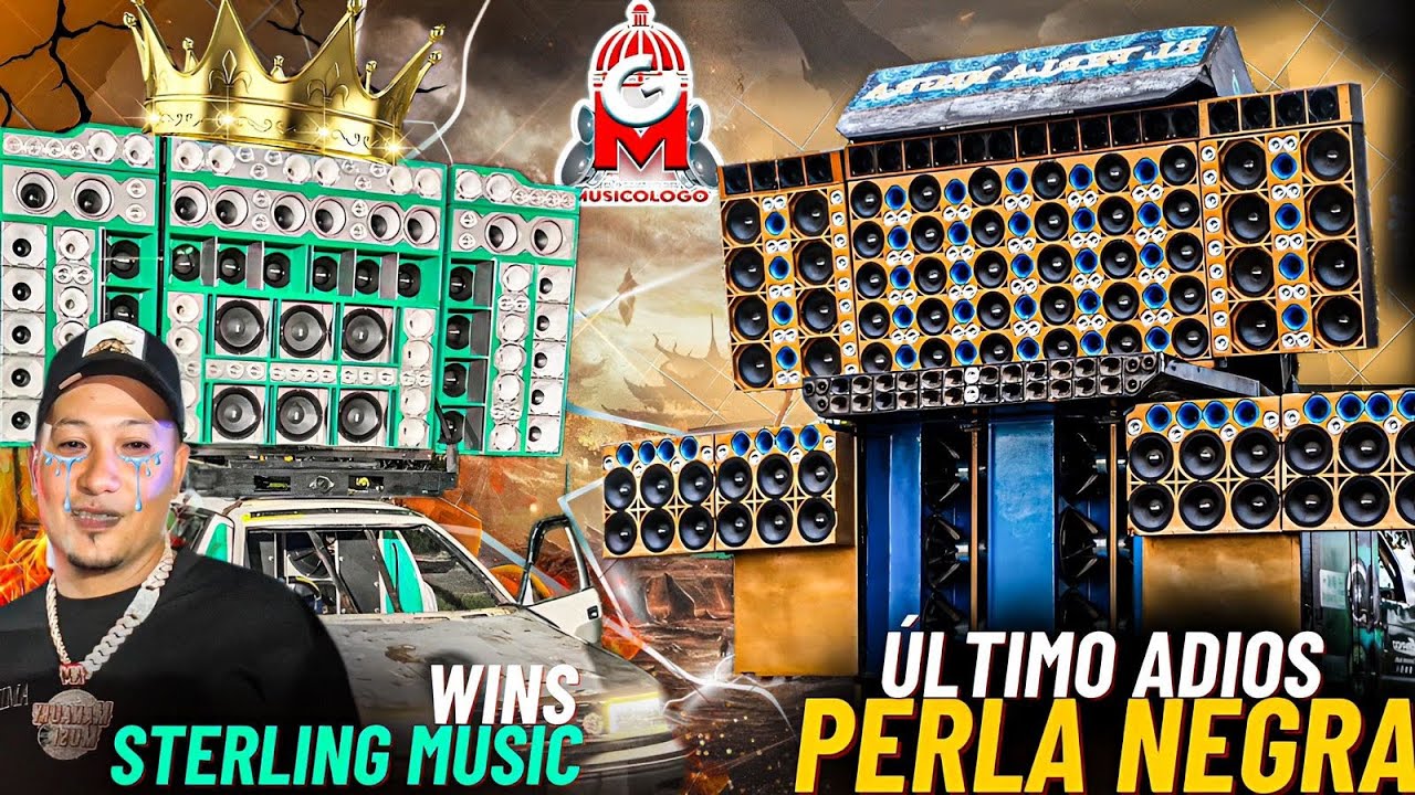 STERLING MUSIC WINS / EL PERLA NEGRA HOY EN BOCA CHICA -El Gobierno del ...