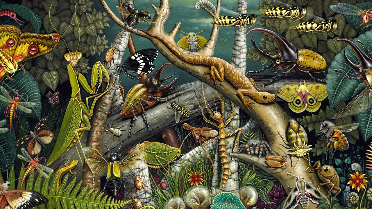 The Incredible Journey of R.S. Connett- Ep. 323 - YouTube