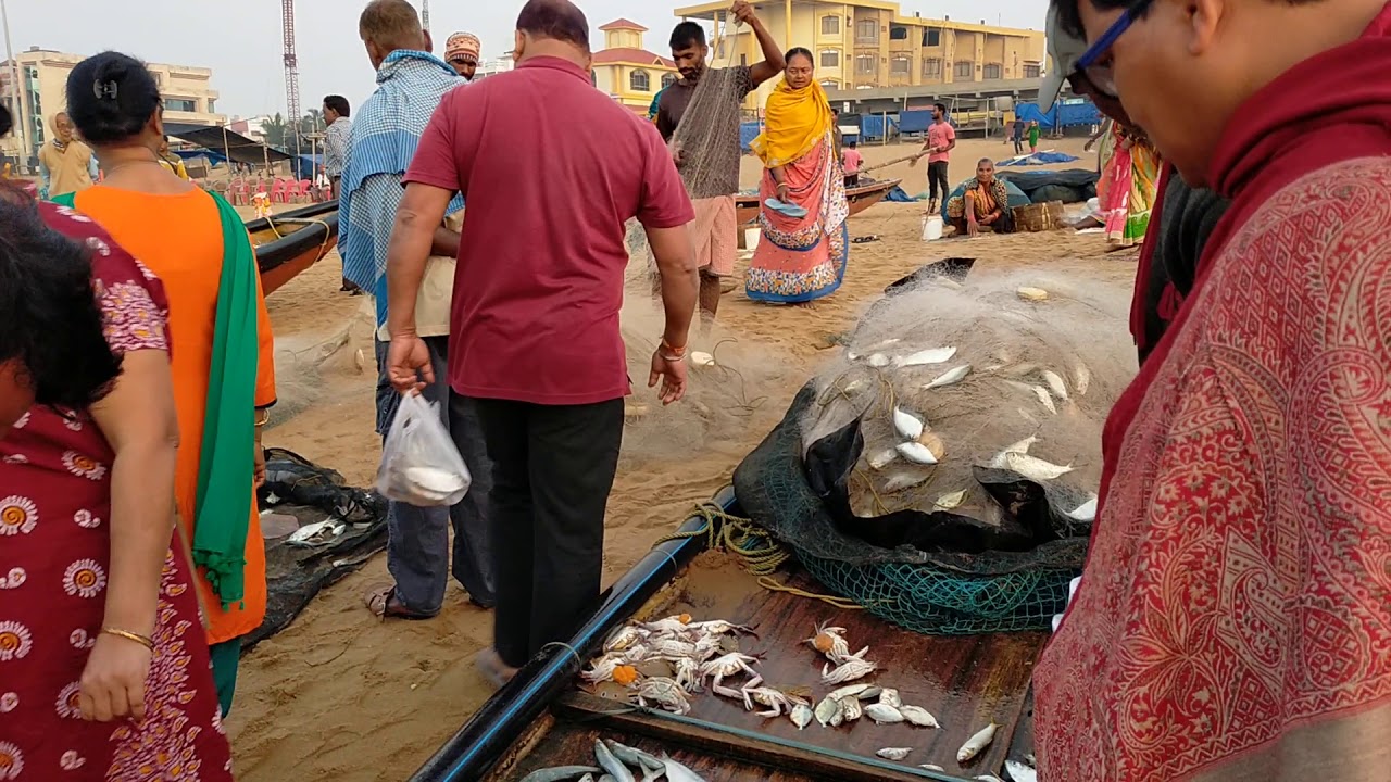 BHORER PURI SEA BEACH FISH MARKET..SOSTAY GOLDA , KAKRA, - YouTube