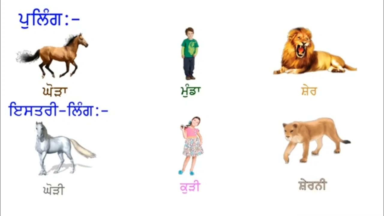 Punjabi Change The Gender YouTube punjabi-change-the-gender-youtube