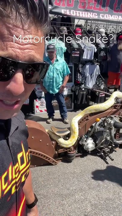 10-Foot Python on a MOTORCYCLE Ride!? - YouTube