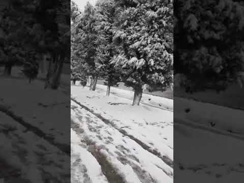 ПОГОДА В ДУШАНБЕ 22 ЯНВАРЯ 2021