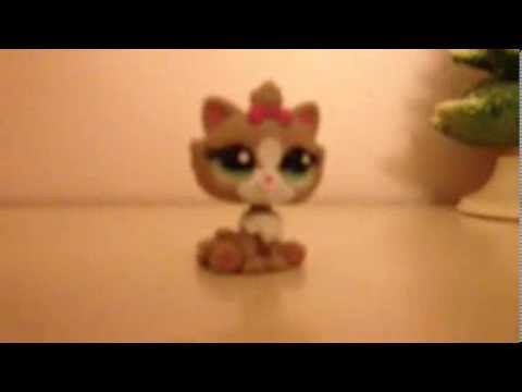My new Lps and calico critters! - YouTube