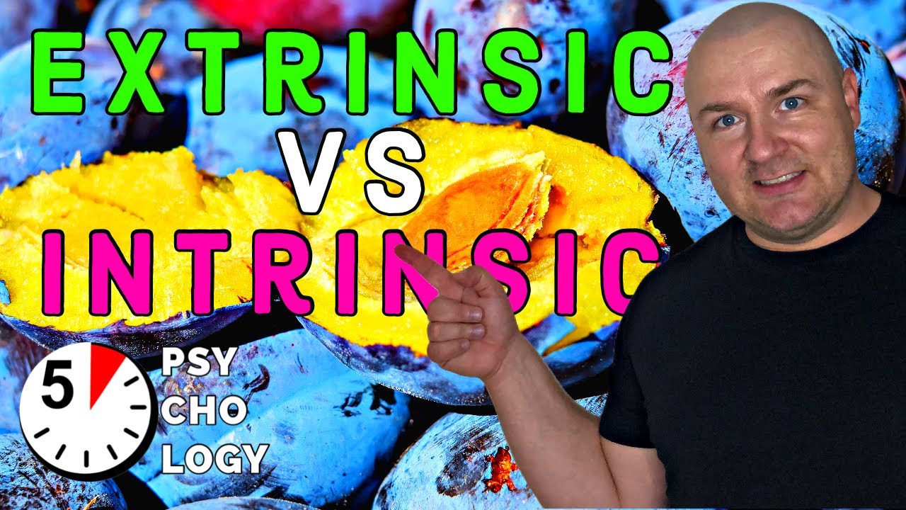 Extrinsic Vs Intrinsic Motivation Youtube
