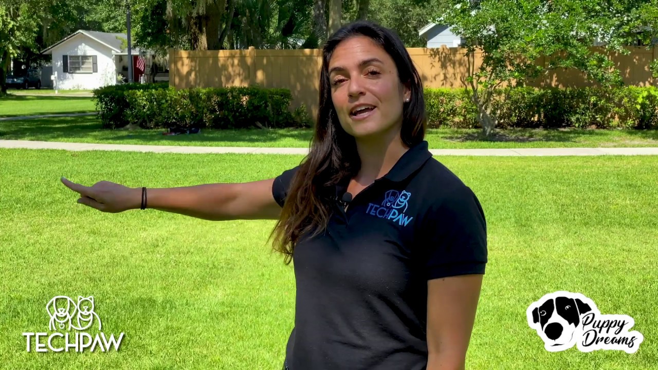 Heather Fox, Positive Reinforcement Dog Trainer - Woof Wednesday ...