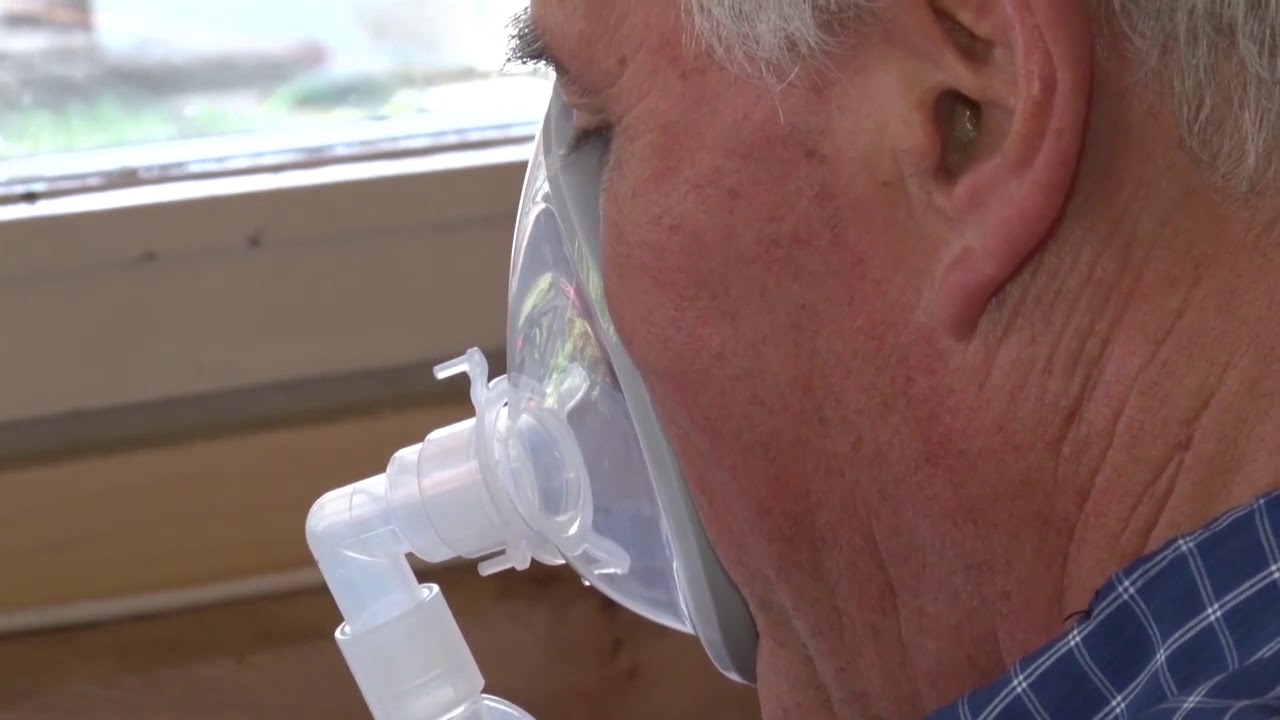 Prva api komora na Zlatiboru - YouTube