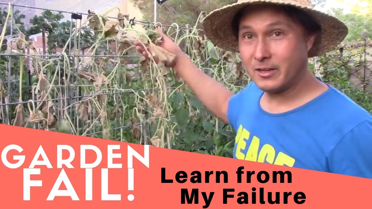Vegetable Garden FAIL - What You Can Learn From My Failure - YouTube