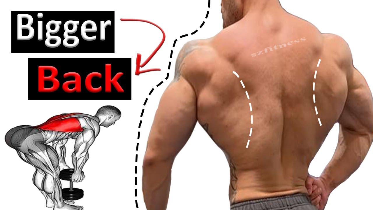 Workout For Back To Get Bigger Back How To Get A Bigger Back Back ...