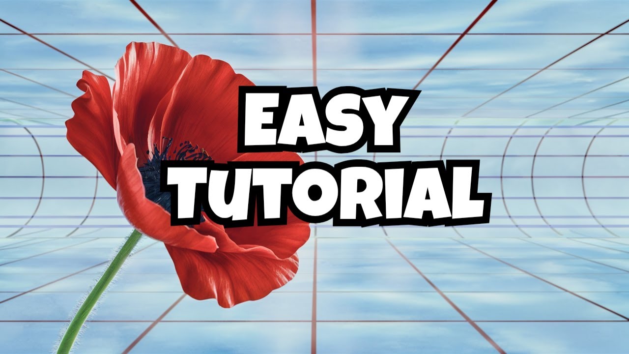 Realistic 3D Poppy Modeling With Bump Maps In Blender - YouTube