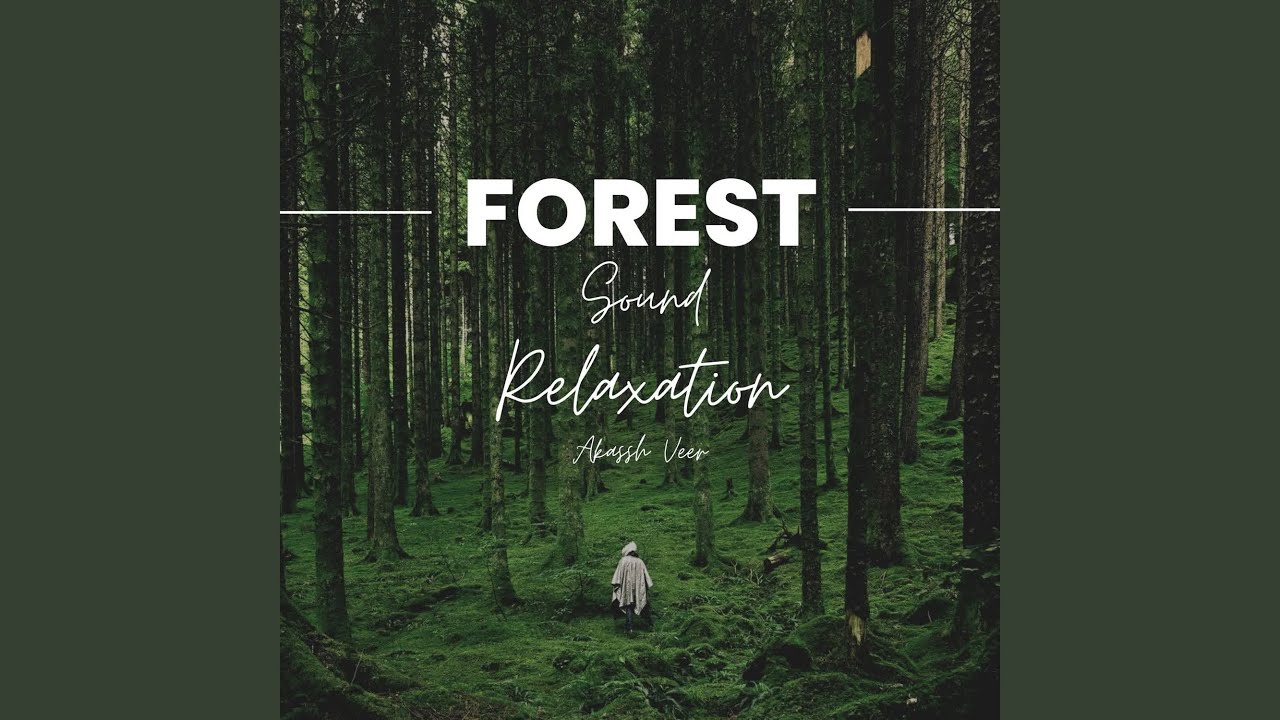 Forest Breeze Flow Relaxation - YouTube