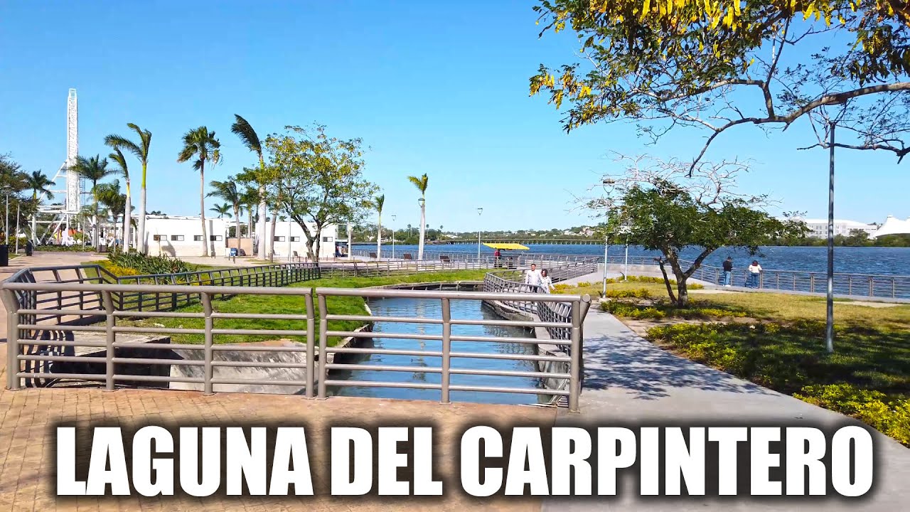 Parque Metropolitano Laguna del Carpintero | Tampico, Tamaulipas 2023 ...