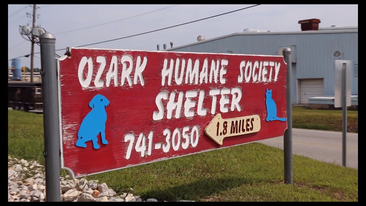 Ozark Humane Society - YouTube