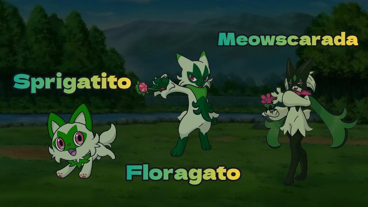 Sprigatito, Floragato y Meowscarada - YouTube