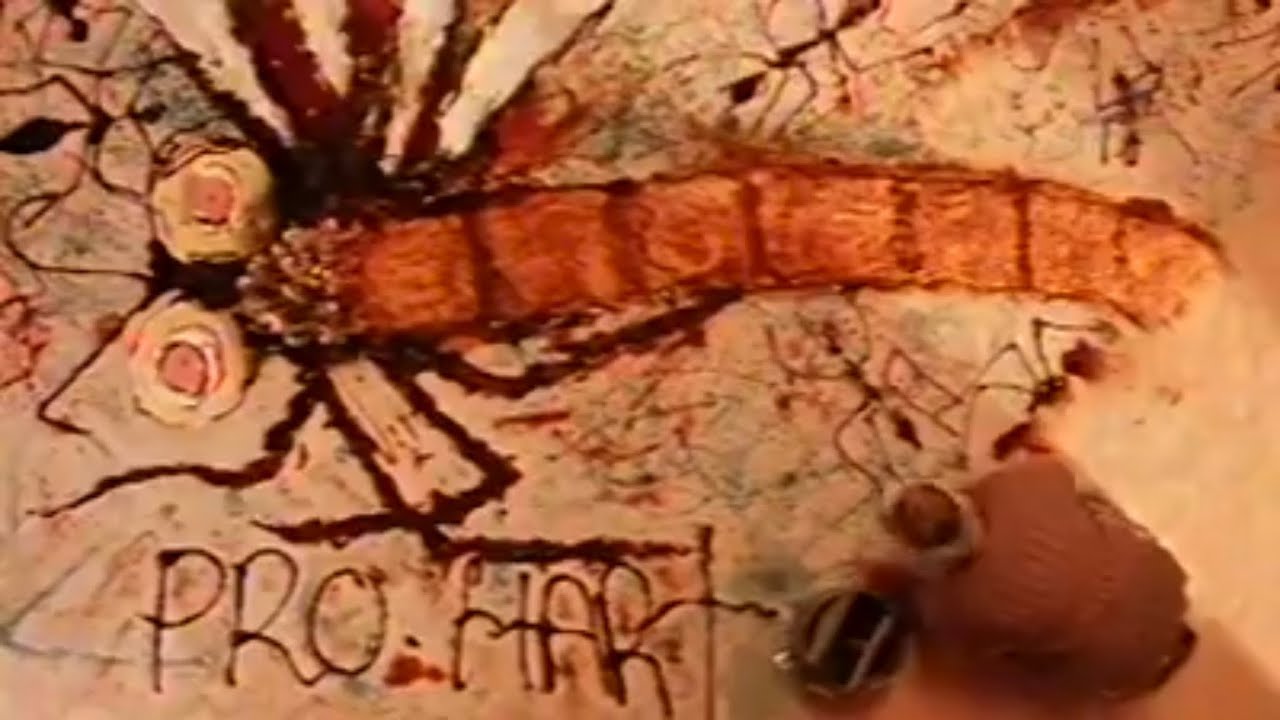 Pro Hart Carpet Advertising - YouTube