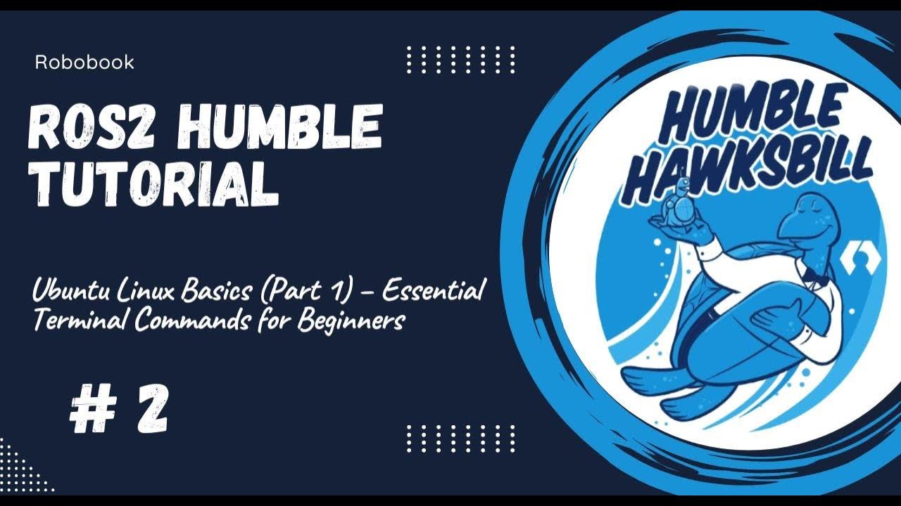 Ubuntu Linux Basics (Part 1) – Essential Terminal Commands for ...