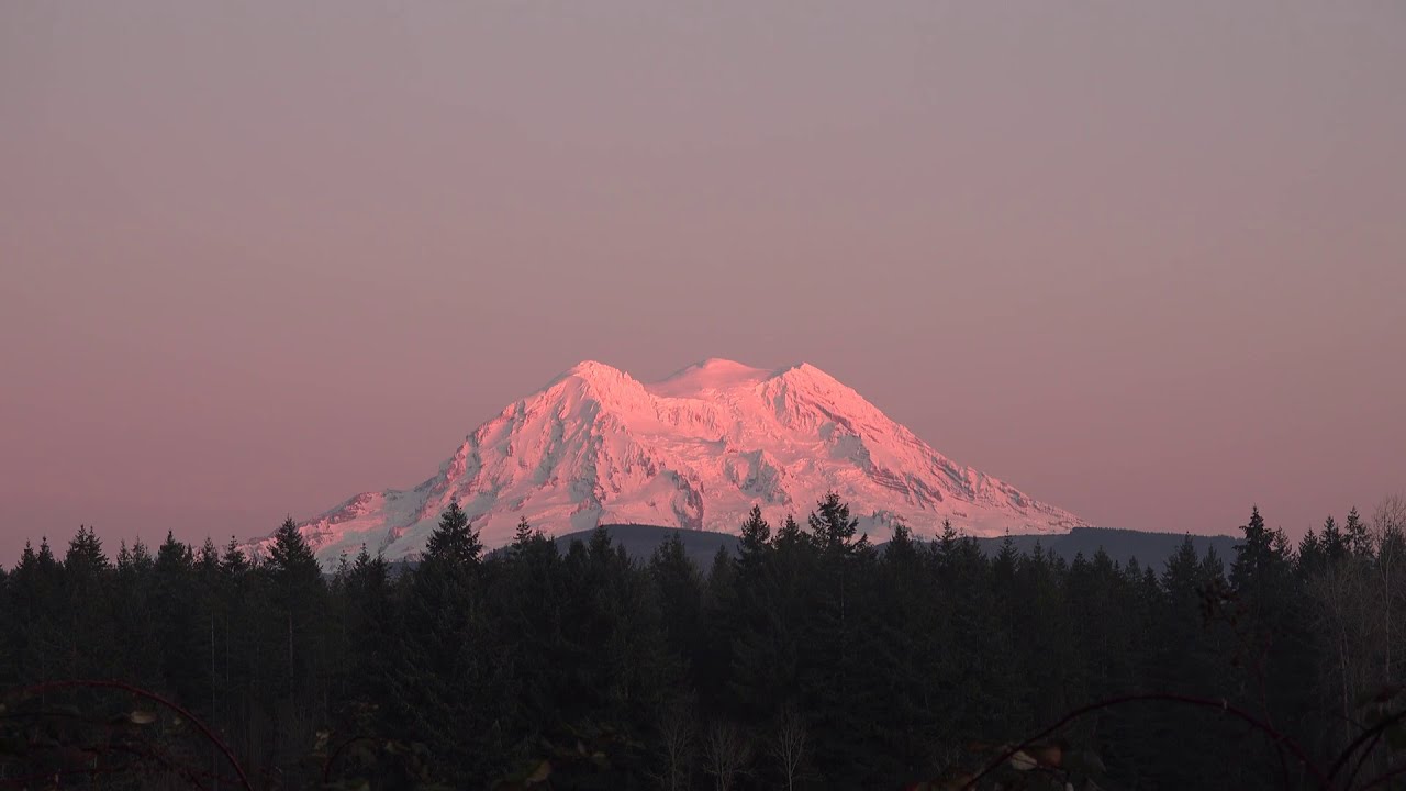 Sasquatch DNA 1 of 3: My Journey with Sasquatch DNA - YouTube