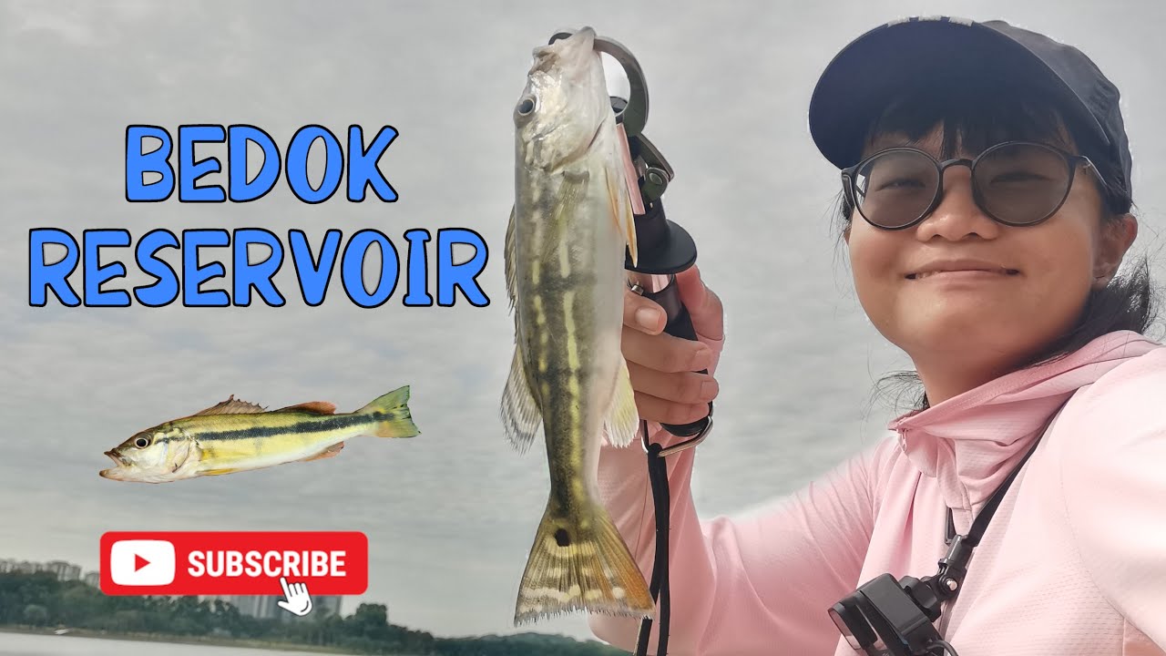 Minnow Lure From SHOPEE can catch fish? Bedok Reservoir UL Fishing # ...