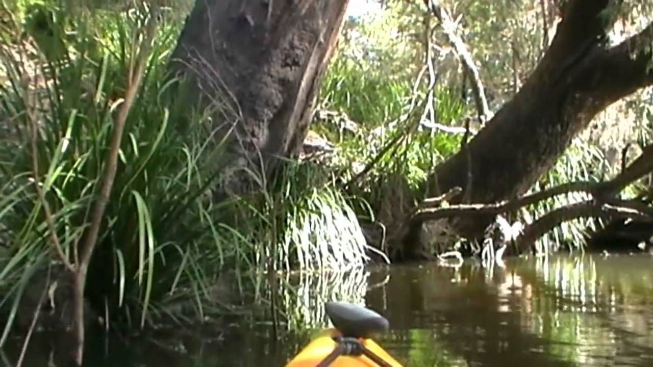 Bremer River - Seven Mile Lagoon - YouTube