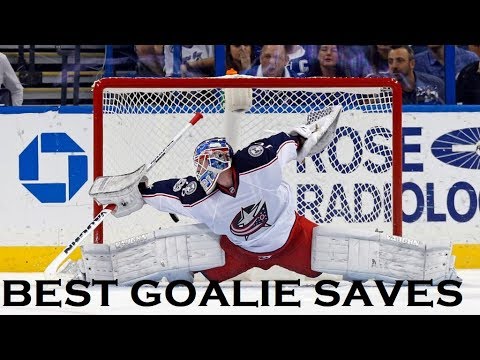 Some of the Best Goalie Saves in Recent History [HD] - YouTube