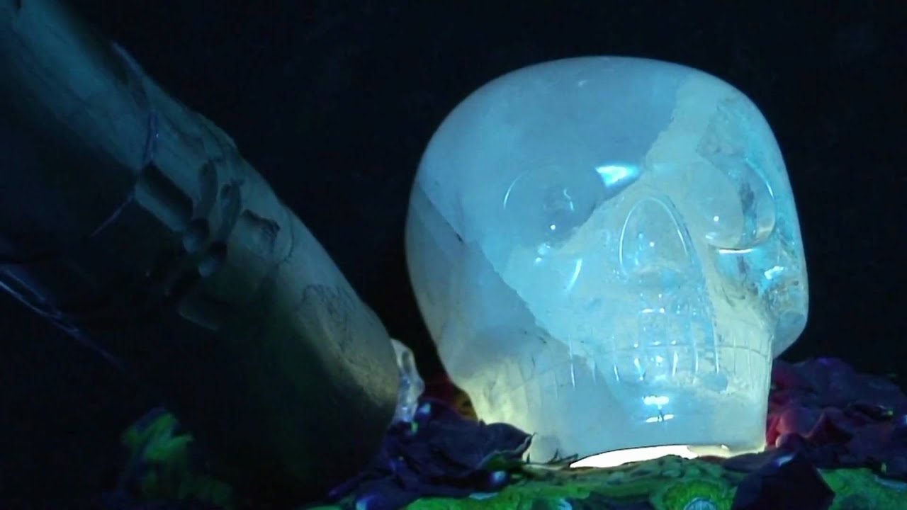 MAX The Ancient Crystal Skull @ The New Living Expo - YouTube