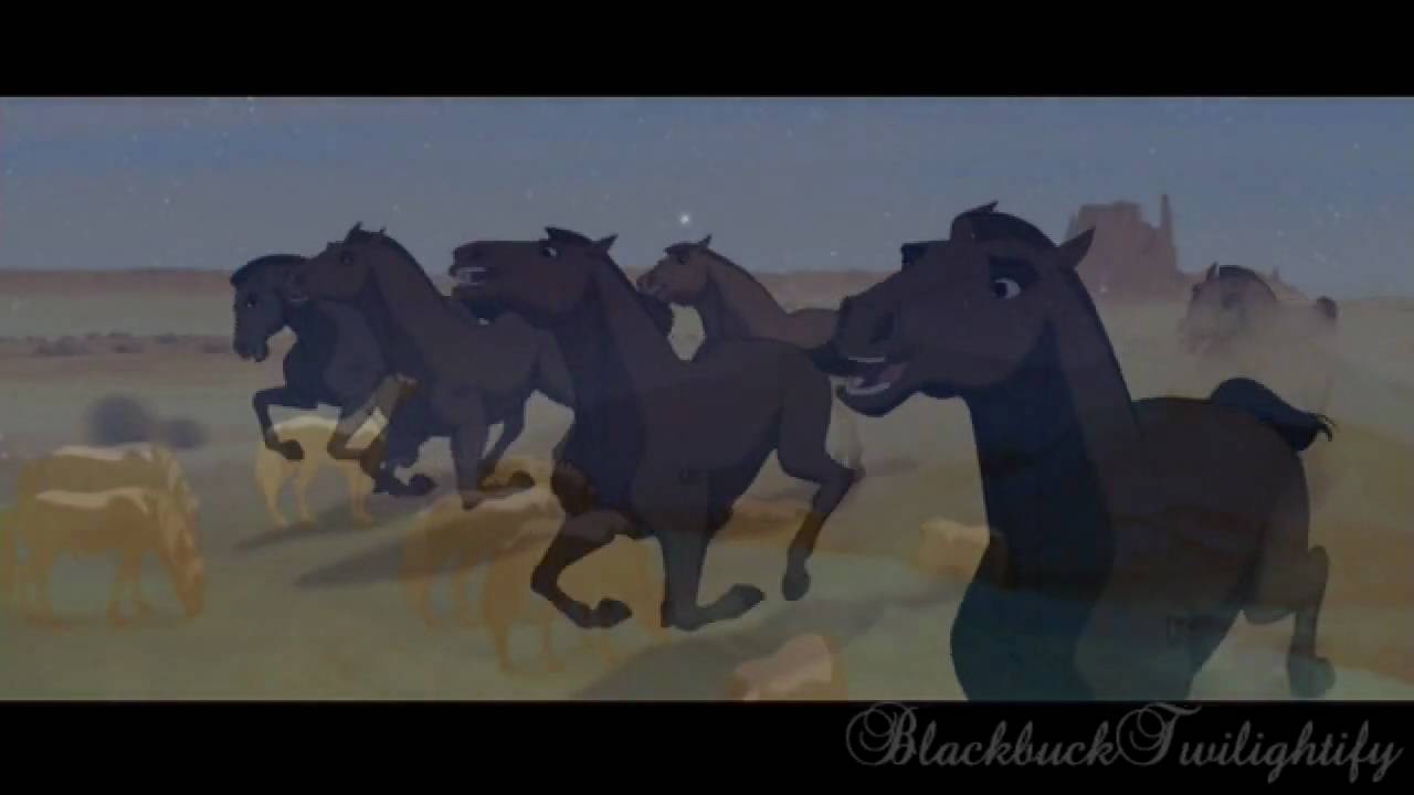 ~Spirit and Simba // Combined Paths Crossover~ - YouTube