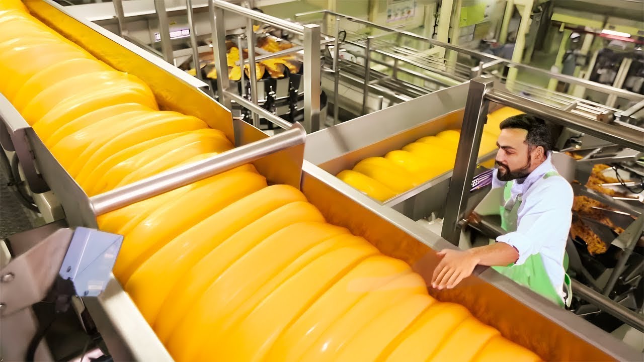 Cheese production process and interesting facts about it | LV ...