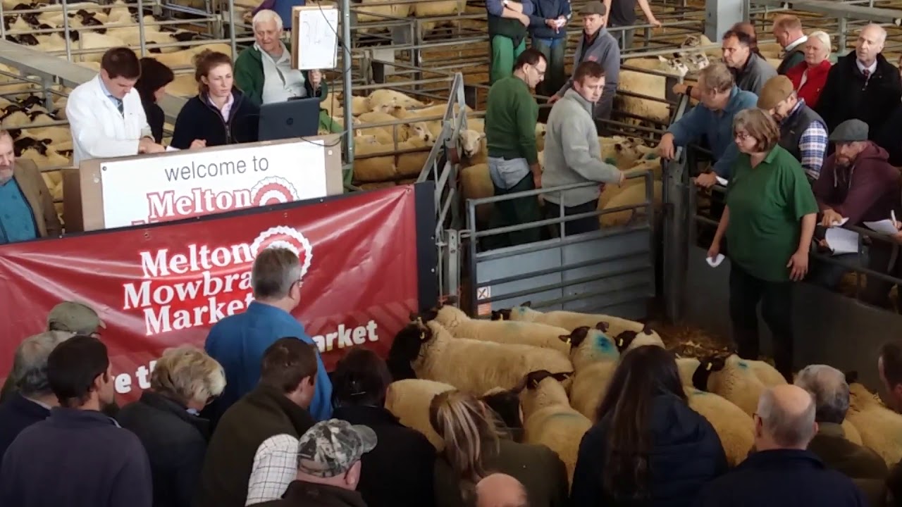 Melton Market 20171017 - YouTube