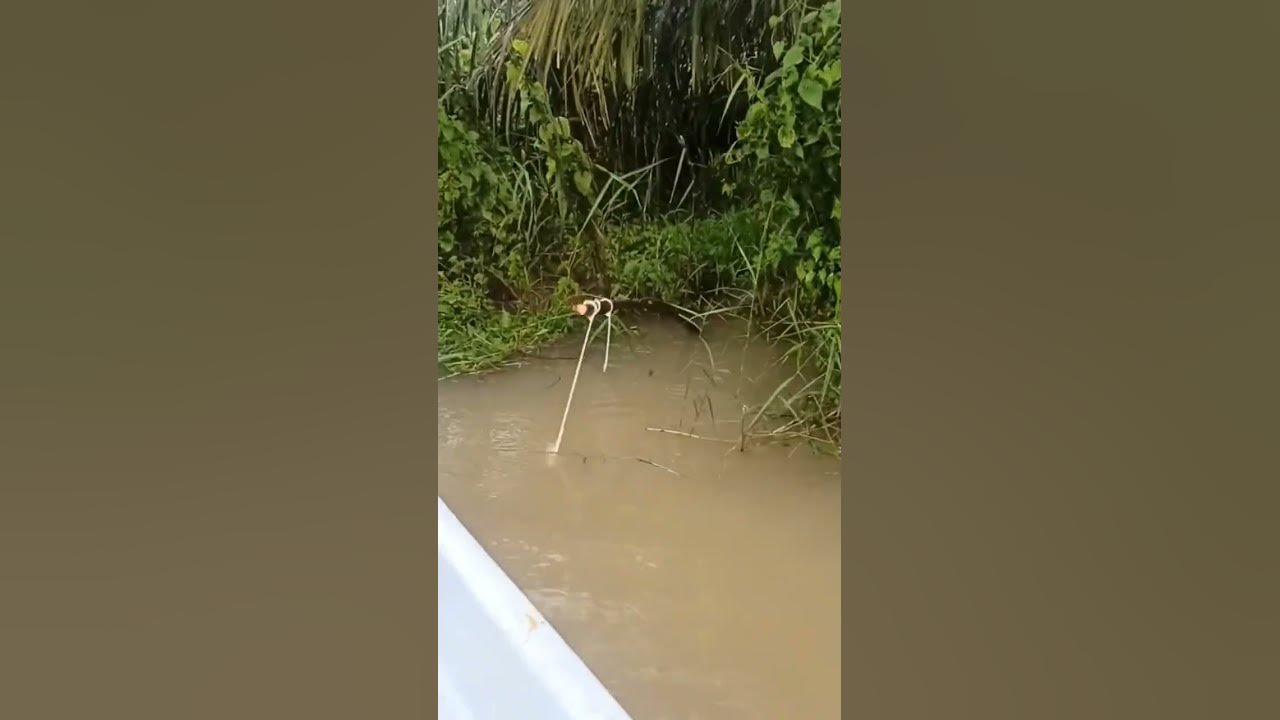 Cụ Fisting Tuyệt Vời Youtube