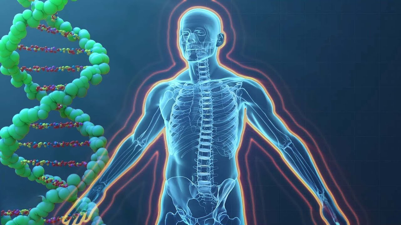 Whole Body Regeneration Emotional And Physical Healing Whole Body ...