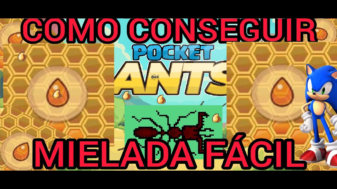 ASÍ SE PASAN LAS HORMIGAS DE FUEGO!!!! Pocket Ants - YouTube
