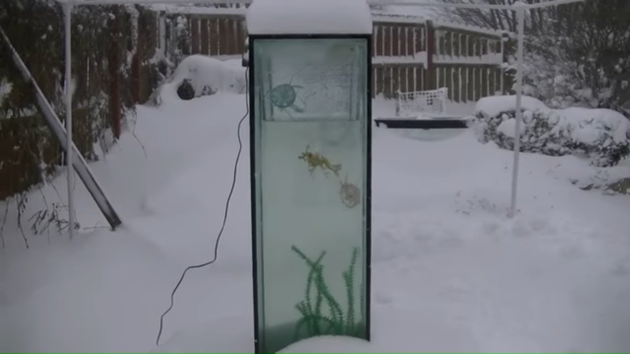 What happens to an inverted aquarium when it freezes ? we let it go to ...