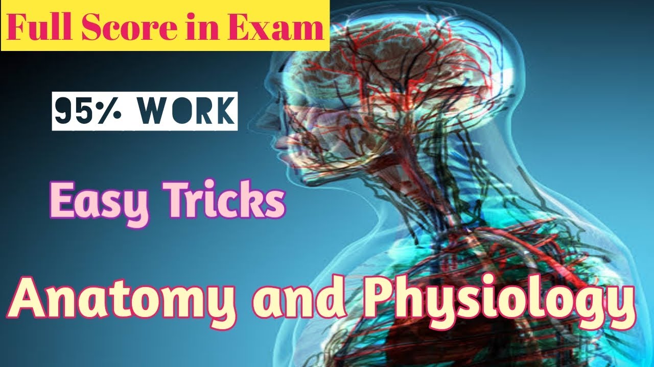 how-to-pass-anatomy-and-physiology-subjects-pass-exam-tricks-how-to