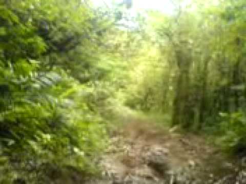 Down Hill Berlin (El trillo) San Ramon Costa Rica - YouTube