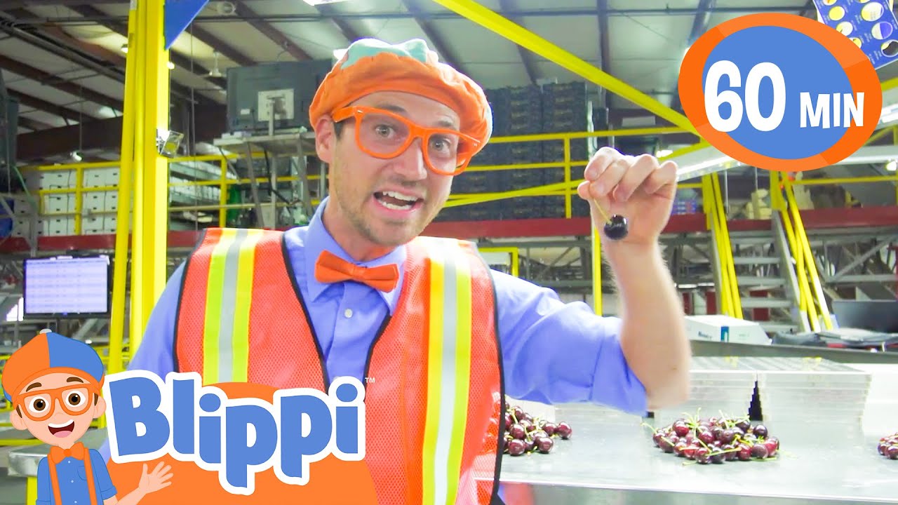 Blippi Visits a Cherry Farm! | Blippi | Animals for Kids - YouTube