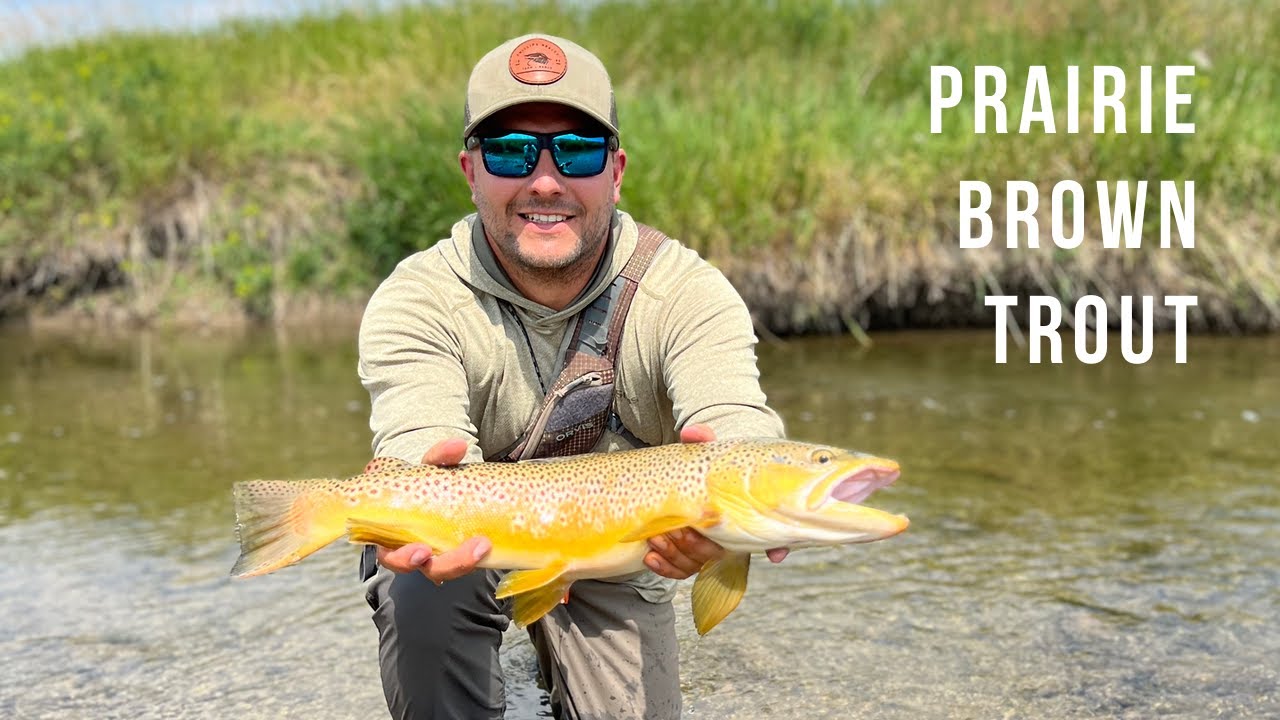 Prairie Brown Trout - YouTube