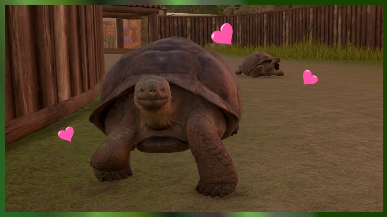Galápagos Tortoise Enclosure 🐢 | Planet Zoo Franchise Mode | 1 - YouTube