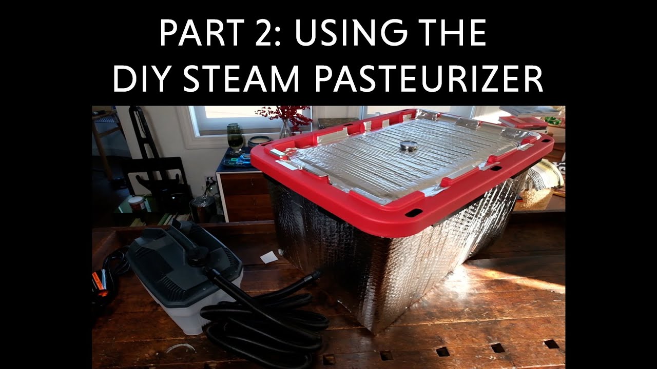 MIND-BLOWING Results from Testing My DIY Mushroom Pasteurizer - YouTube