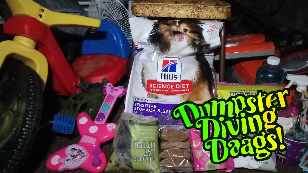 Dumpster Diving Daag Food & Dumpster Donuts! - YouTube