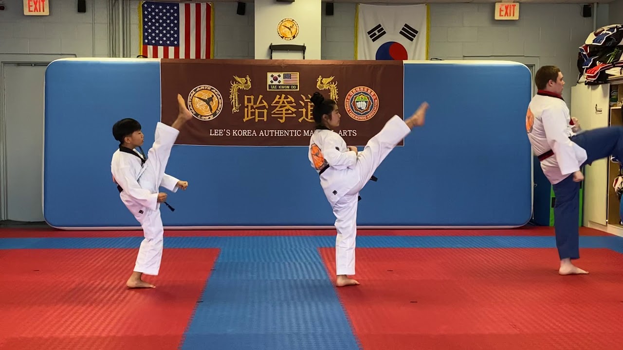 Taeguek 4 Jang / Form 4 (Blue Belt Form) /20 Movements - YouTube