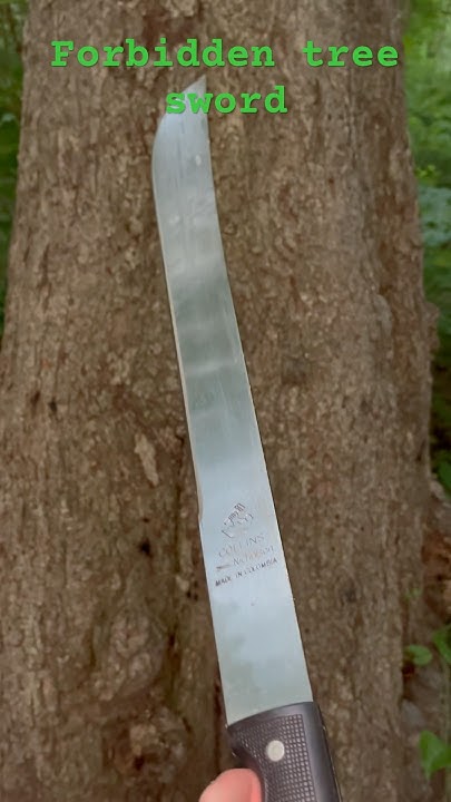 The sword in the tree - YouTube