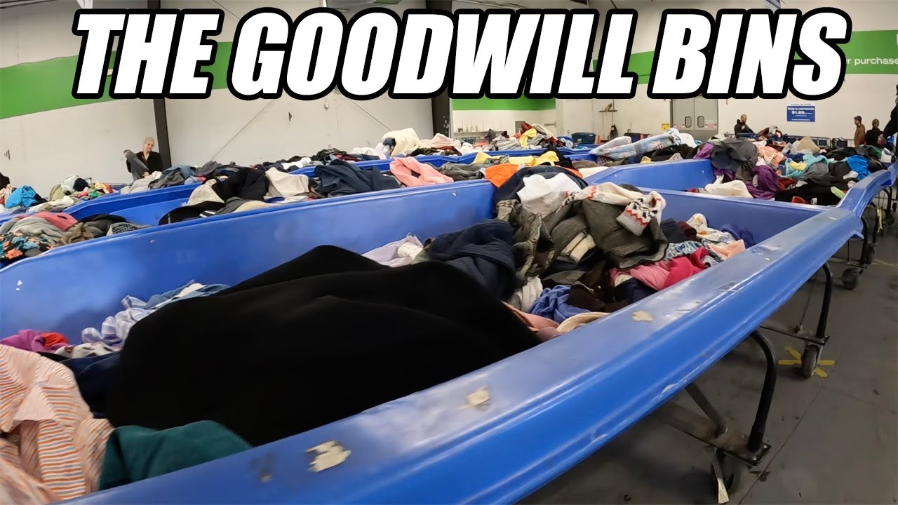 Goodwill Bins Outlet Store - Thrifting For Gold & Treasures! - YouTube