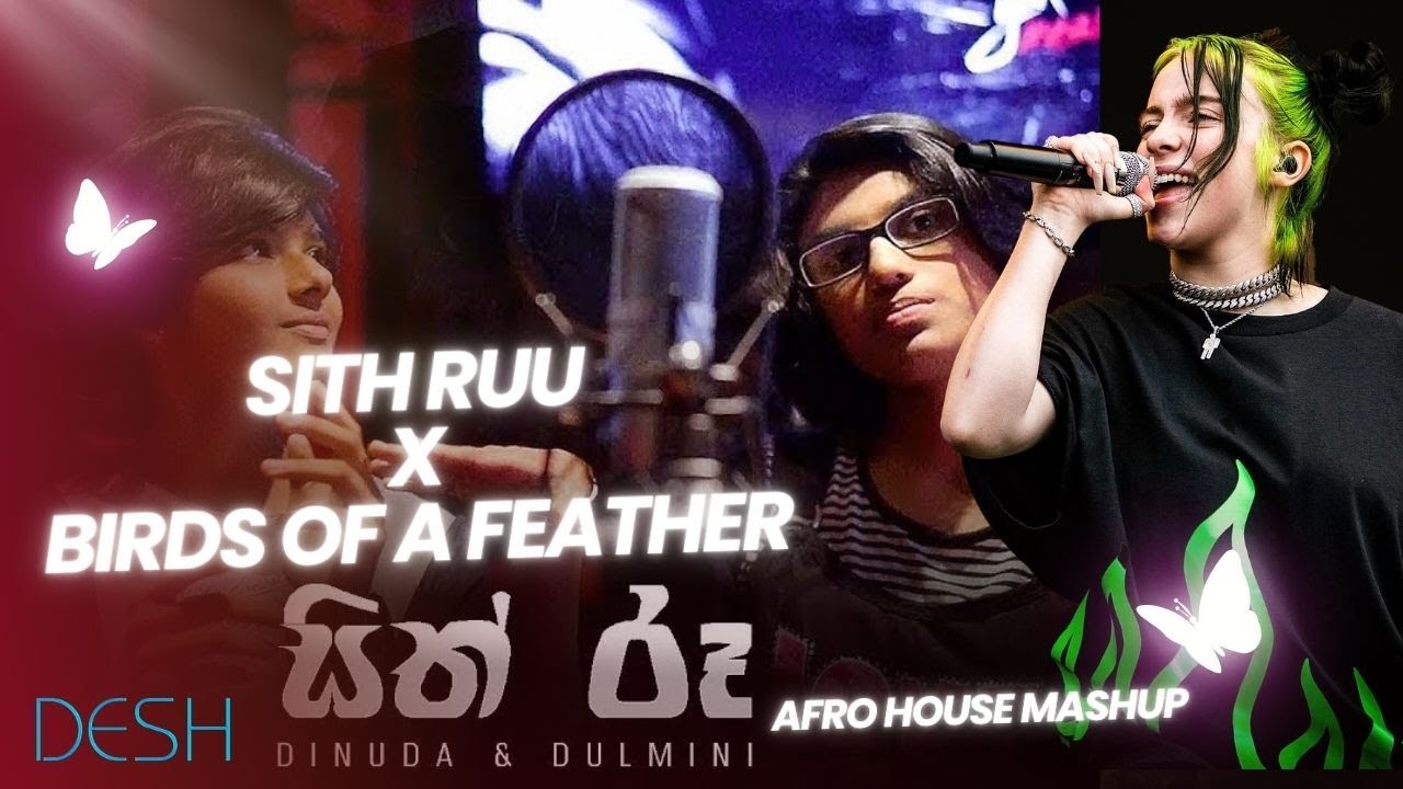 Sith Ruu x Birds of a Feather (Afro House Mashup by DESH) - Billie ...
