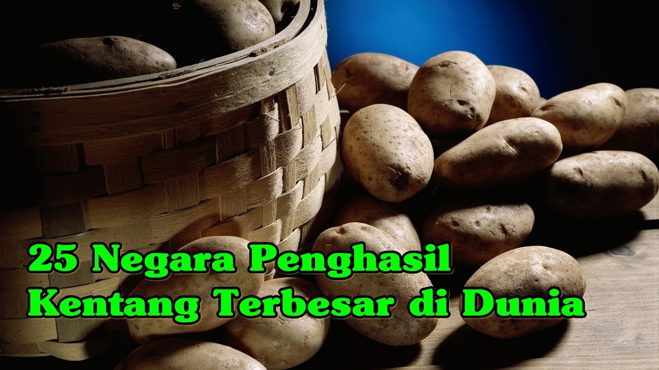 25 Negara Penghasil Kentang Terbesar di Dunia - YouTube