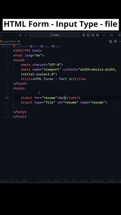 Mastering HTML Input Type File: Step-by-Step Example! #htmlform #codewithmayur - YouTube