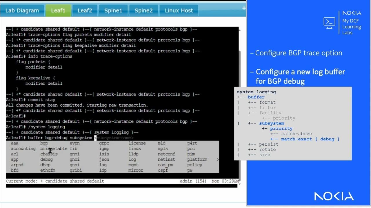Nokia SR Linux Monitoring: Debug Trace Options - YouTube