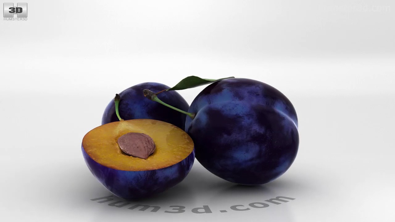 Plum 3D model by 3DModels.org - YouTube